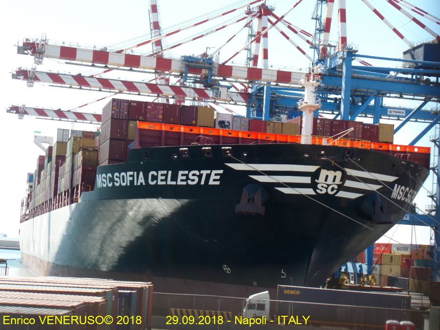 MSC Sofia Celeste